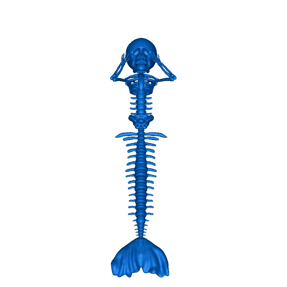 Free Characters & Creatures STL Download - Mermaid skeleton print in ...