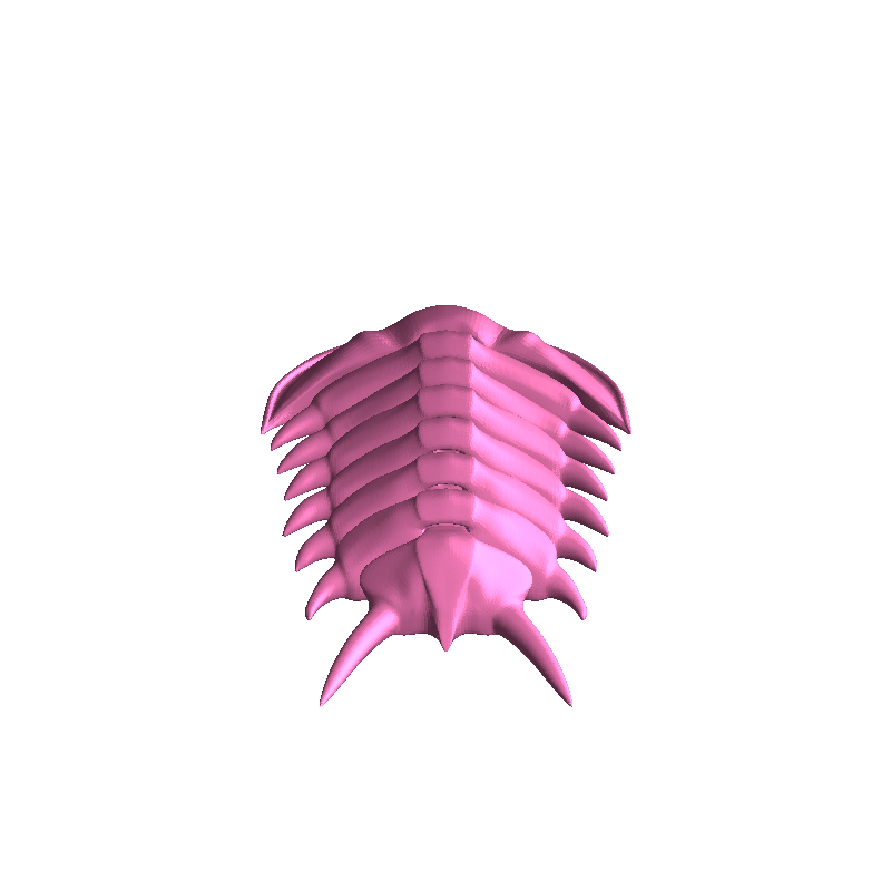Articulated Trilobite | 3D models download | Creality Cloud