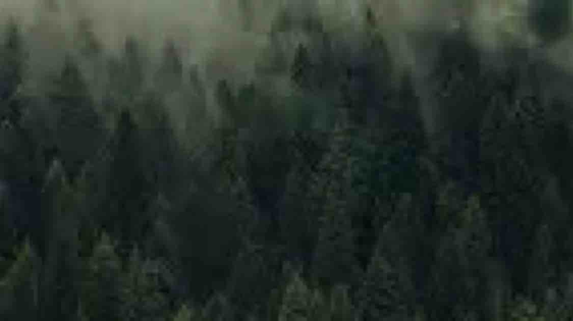 Infill patterns with box | Creality Cloud