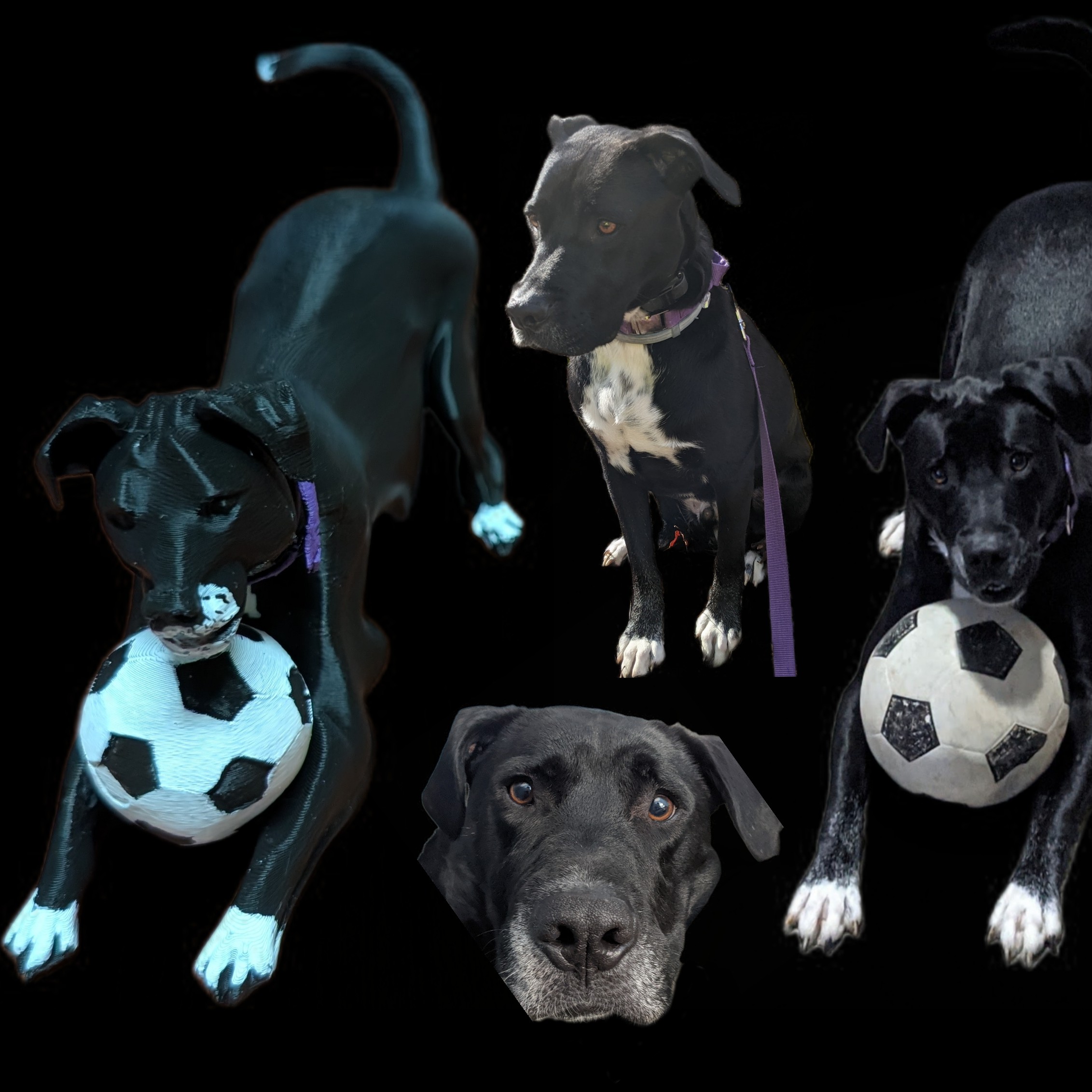 Archivos de impresora 3D | Archivo 3MF | Duke the dog with his soccer ...