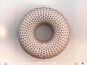 Rodin Coil Torus .STL 10 INCHES Diameter Coil 2 x 24 groves | 3D models ...