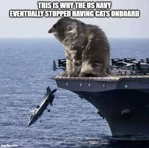 Cat meme two and three. | Creality Cloud