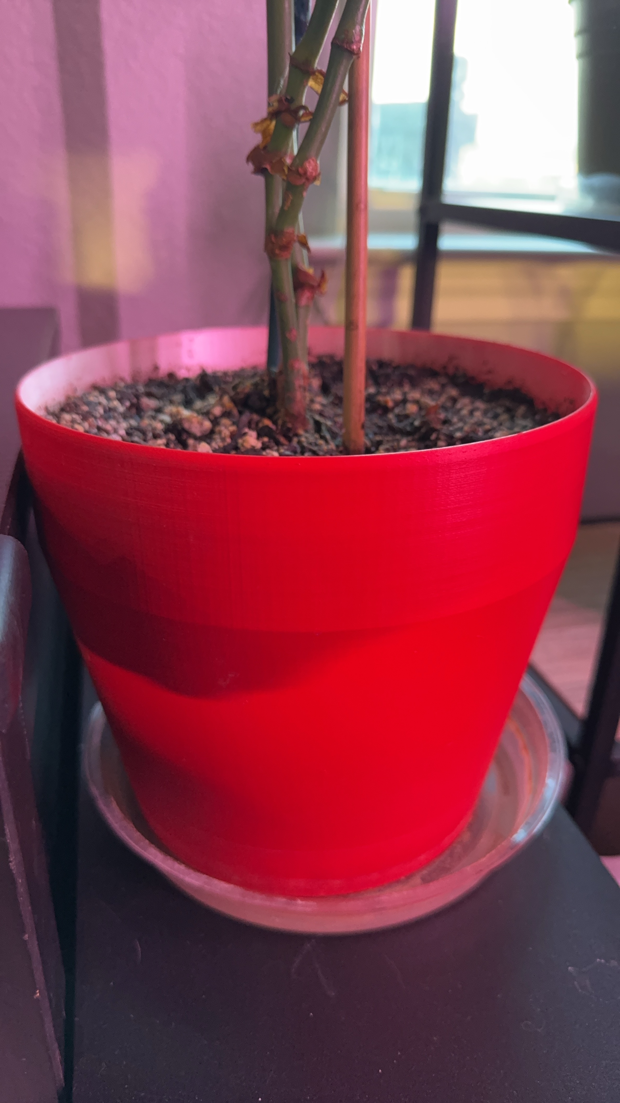 Clean and crisp. I painted it red with plasticoat. | Creality Cloud