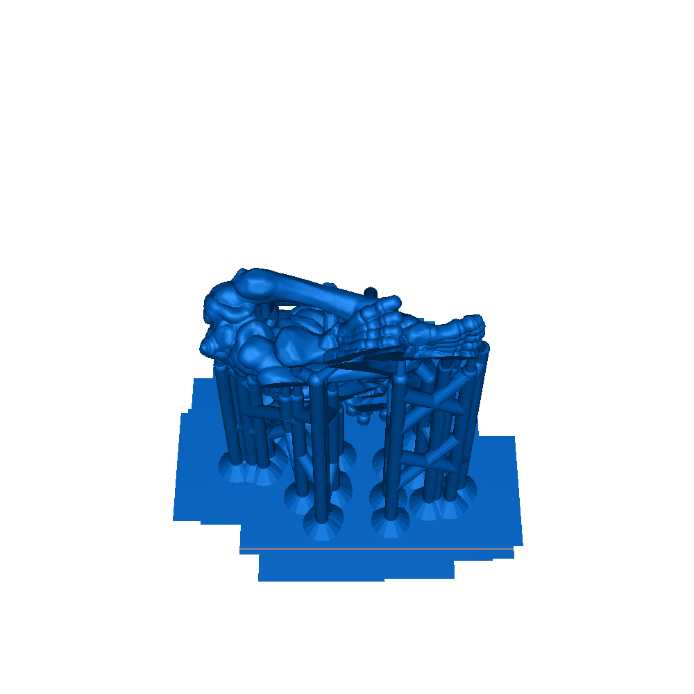 bon | 3D models download | Creality Cloud