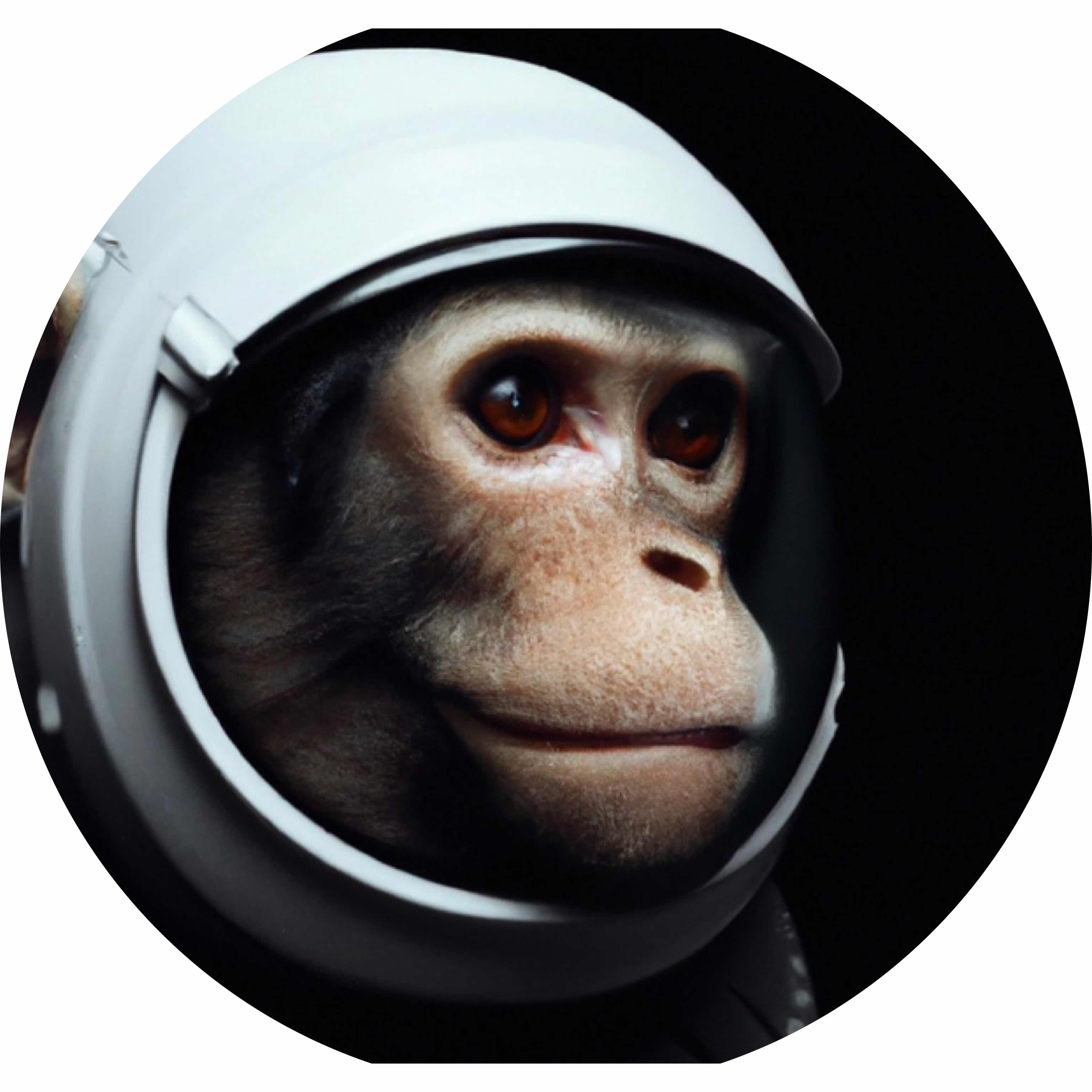 Monkey_e244 | Profile | Creality Cloud