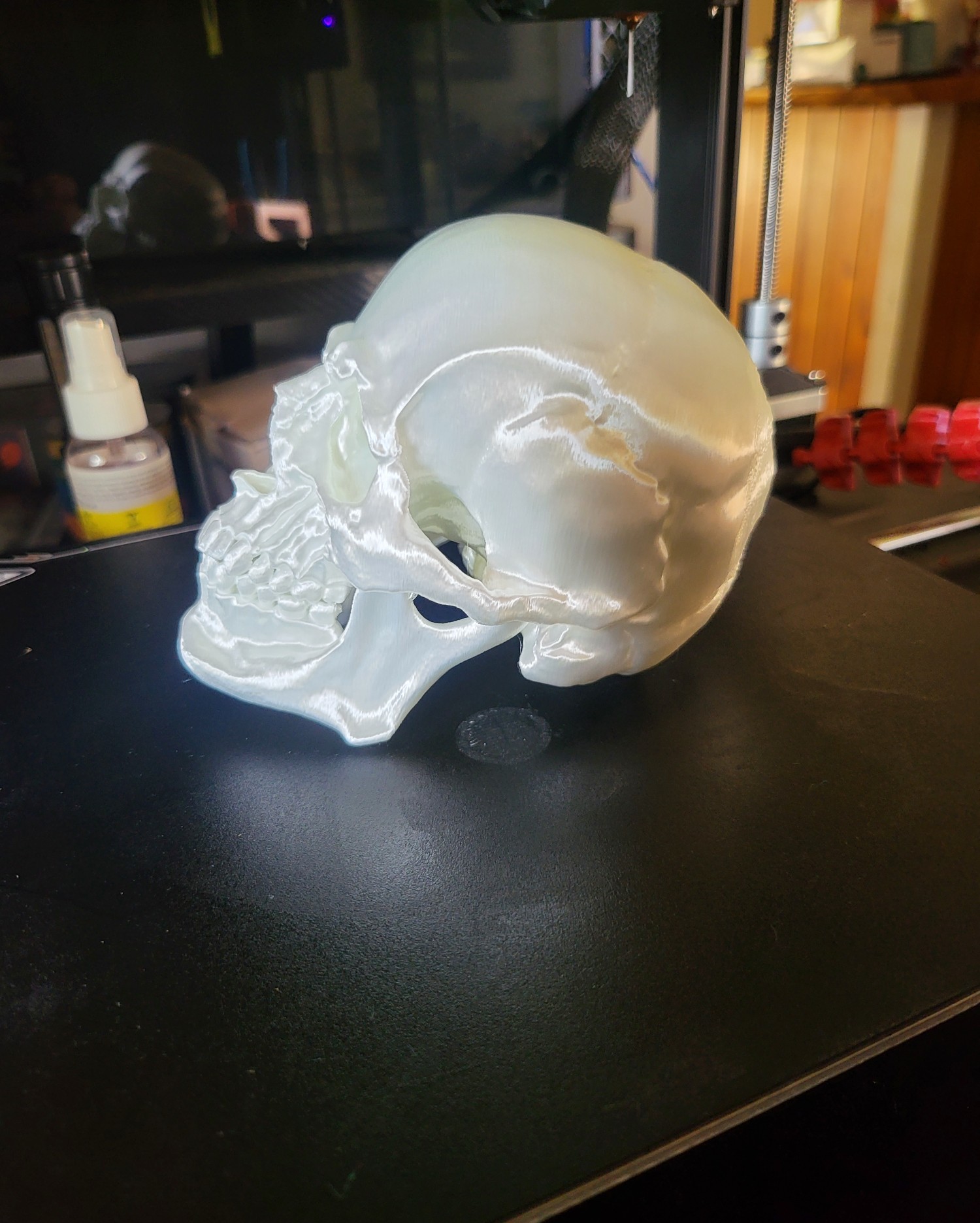 cool looking skull. printed with white silk PLA. very happy with ...
