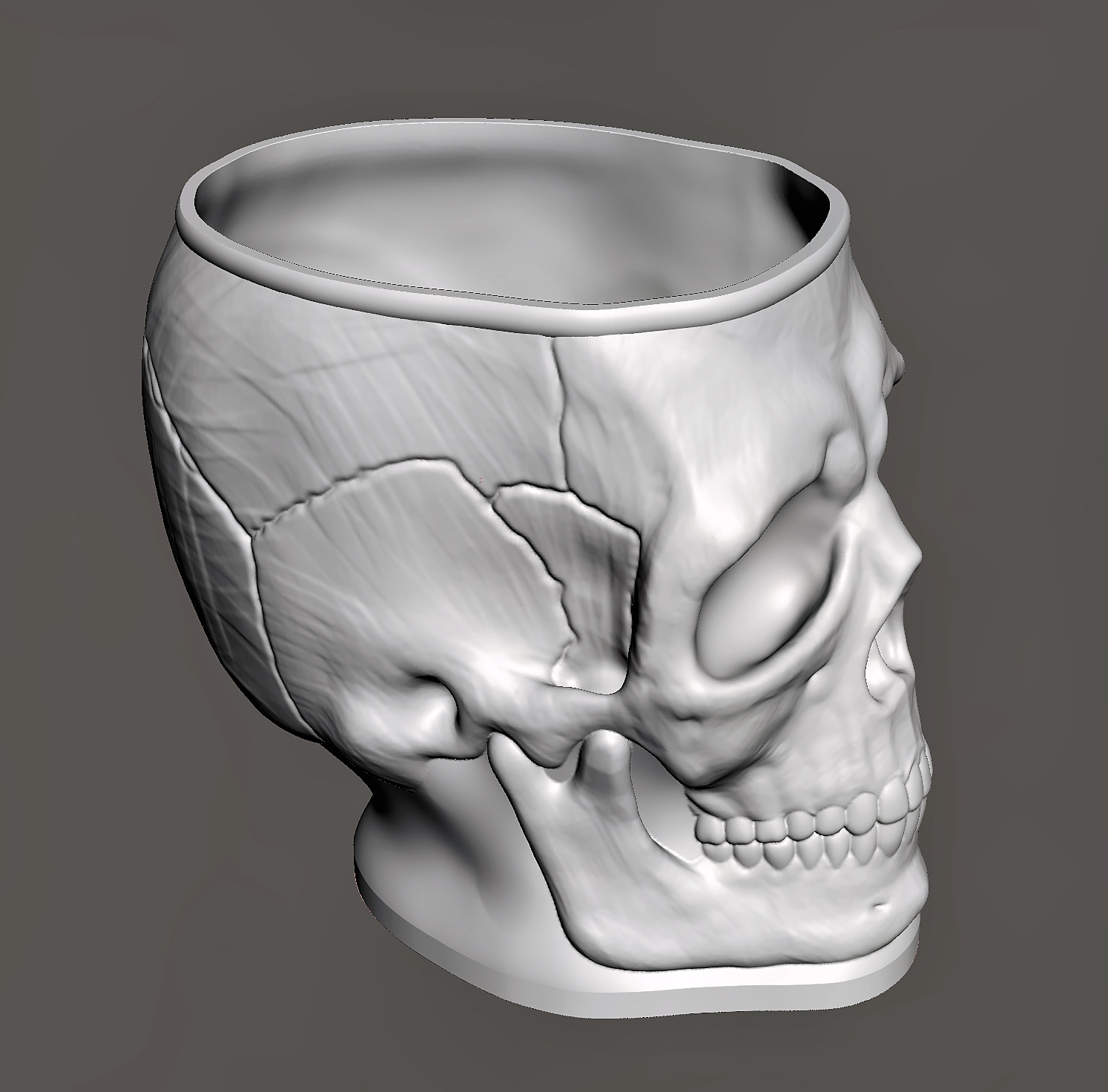 SCULL PLANTER -PRINT IN PLACE | 3D models download | Creality Cloud