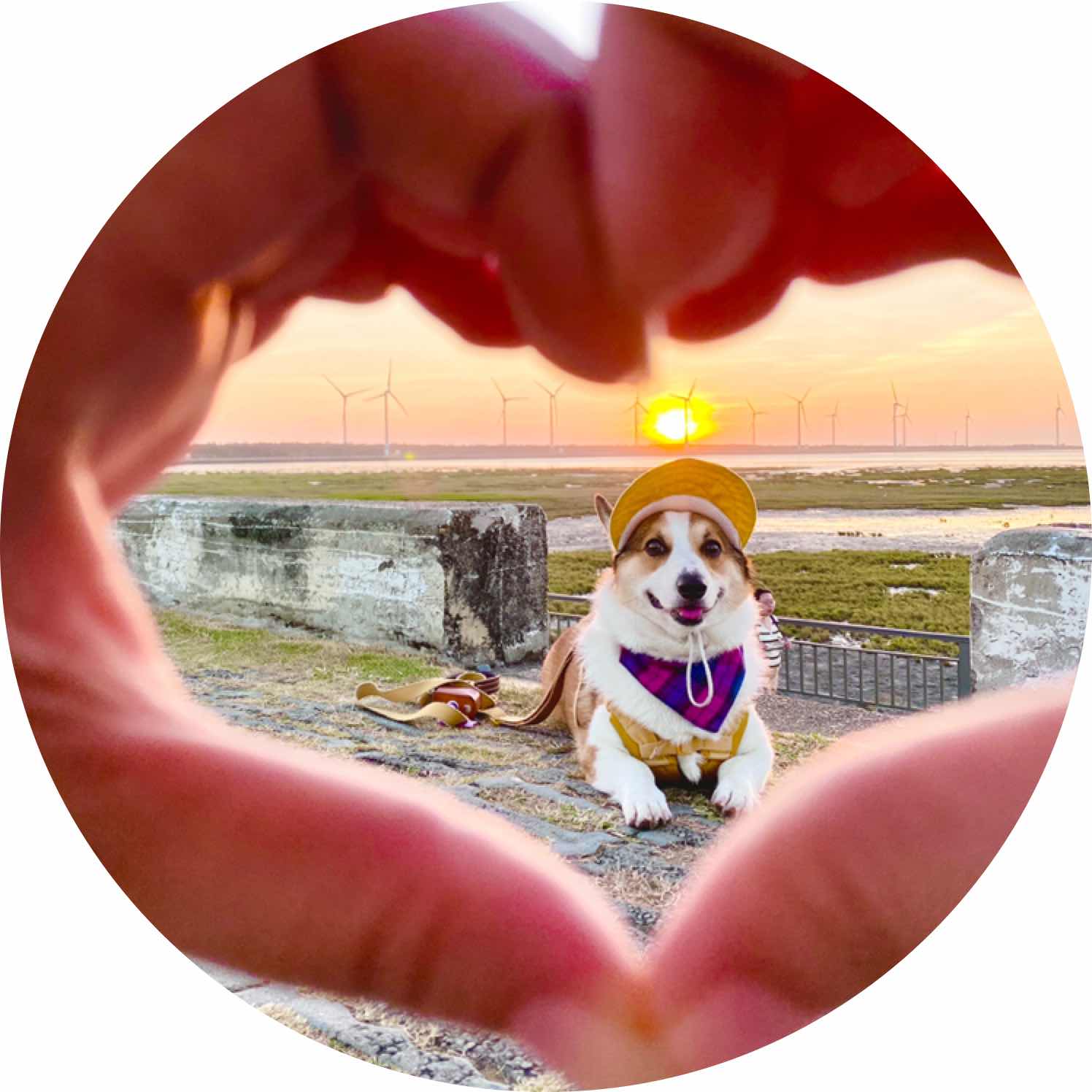 達叔's Profile | Creality Cloud