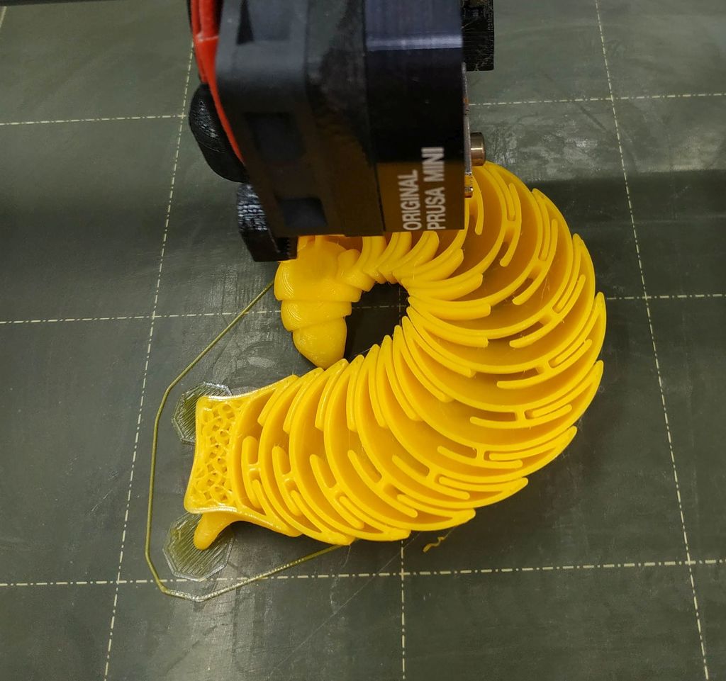 Enlarged Curled up Friendly Slug | 3D models download | Creality Cloud