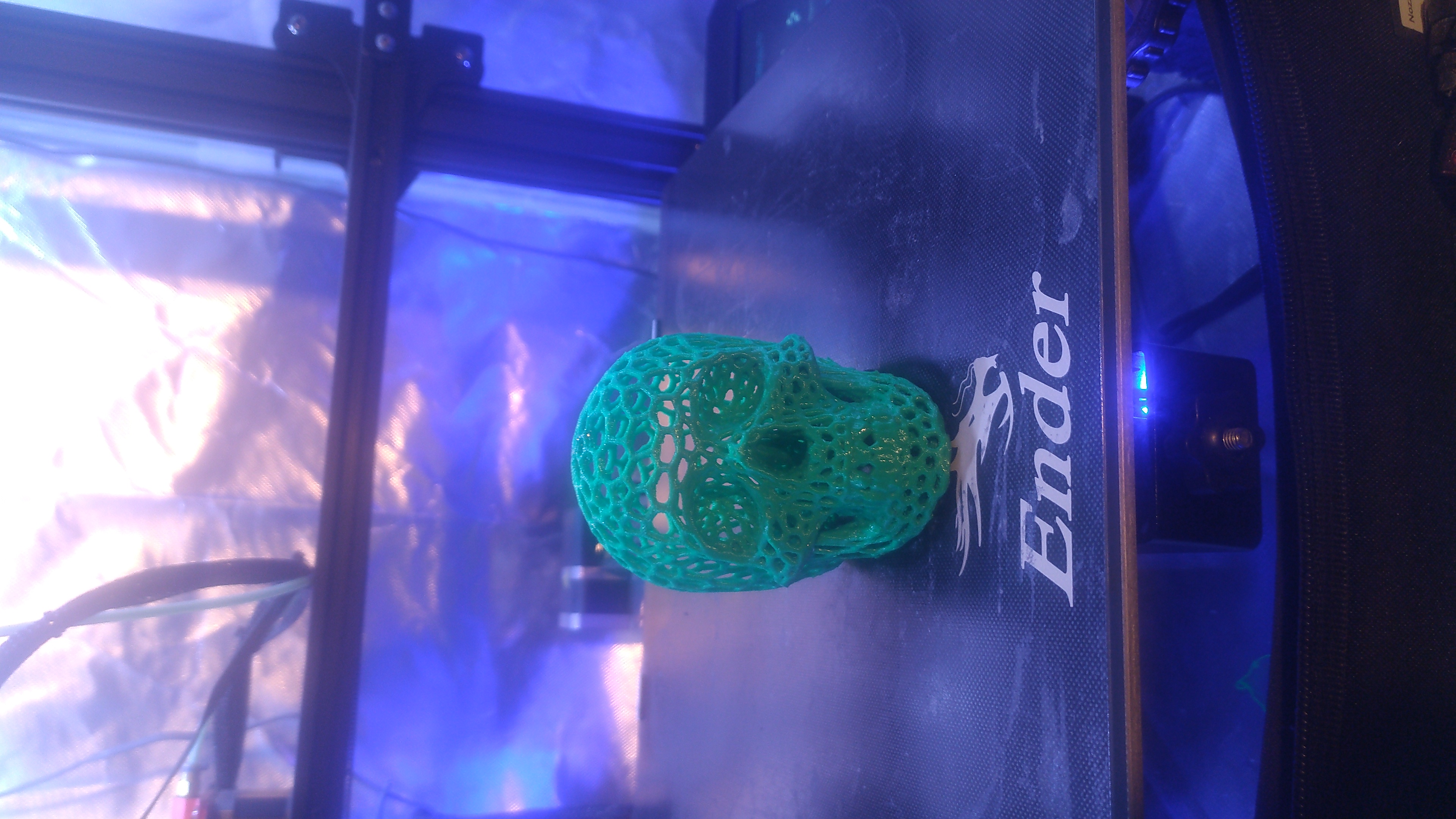 i decided I needed a green one also . super easy print thank you for the cool skull model ...