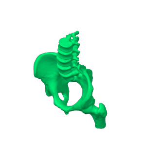3D Printer Files | 3MF File | Life size pelvis model | Creality Cloud