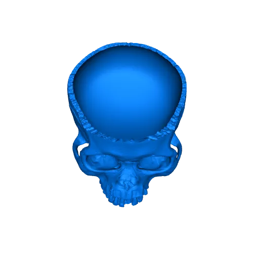 무료Characters & CreaturesSTL 다운로드 -skulll - user2638998060